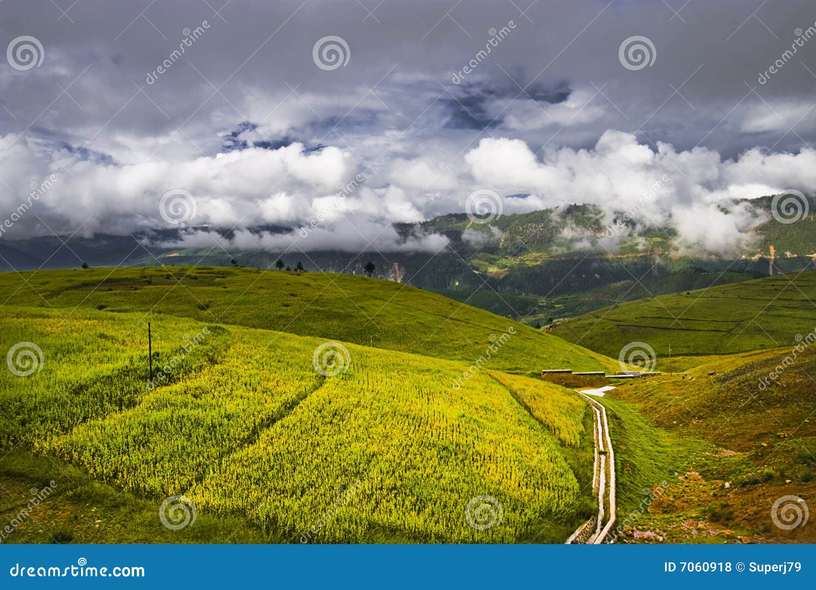 Chinese rural scenery stock photo. Image of away, farmland - 7060918
