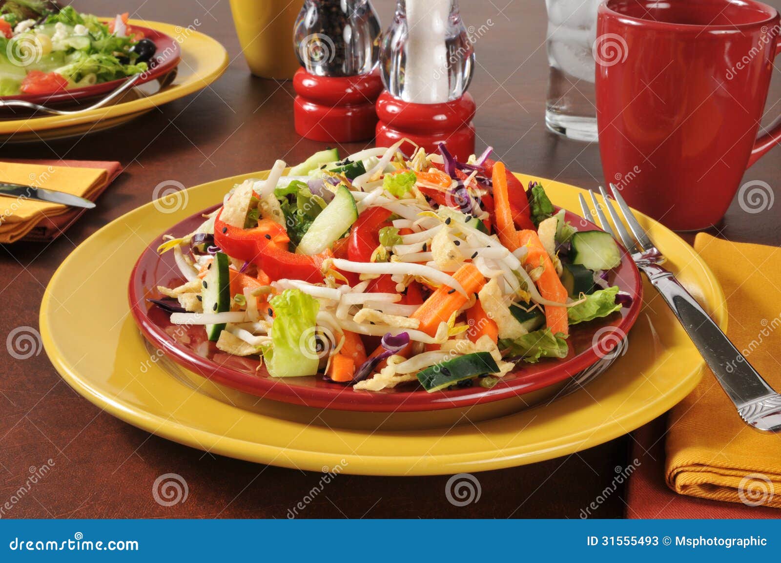 Chinese Salad stock image. Image of green, plates, dinner - 31555493