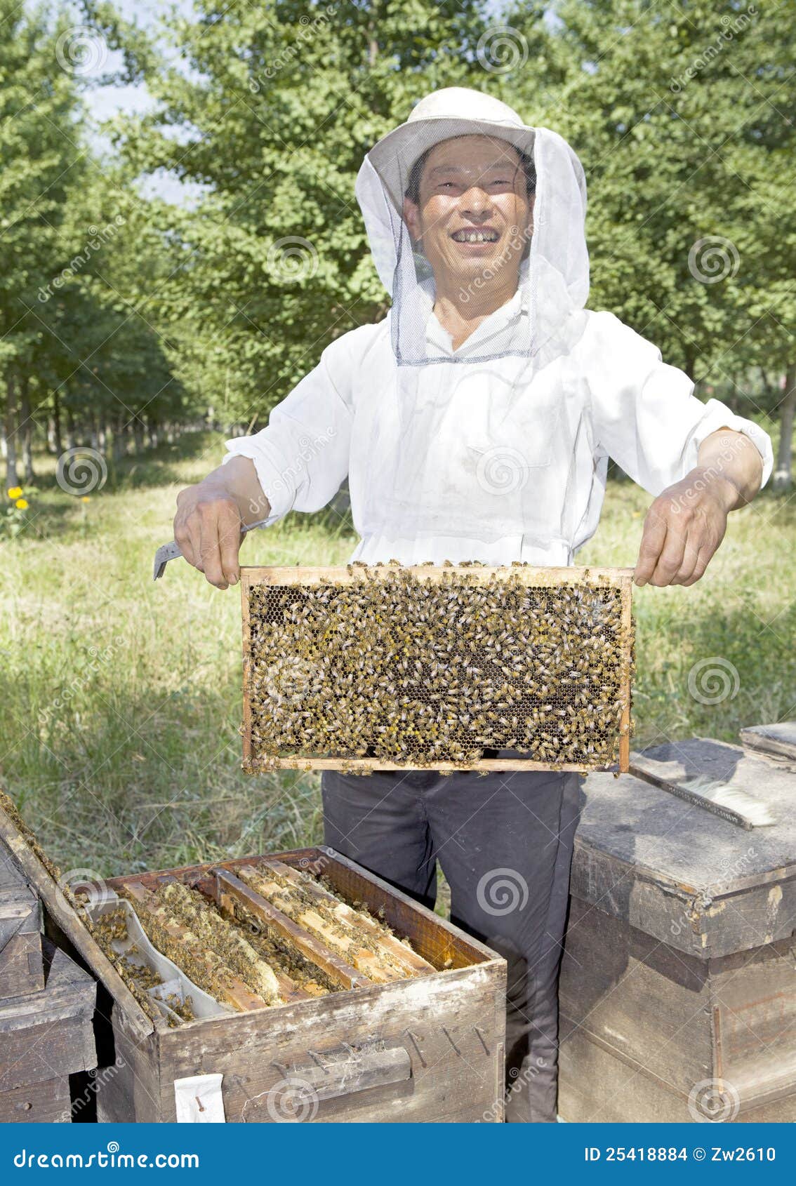 A Chinese Senior Man Beekeeper Stock Photo - Image of ecologic, raise ...