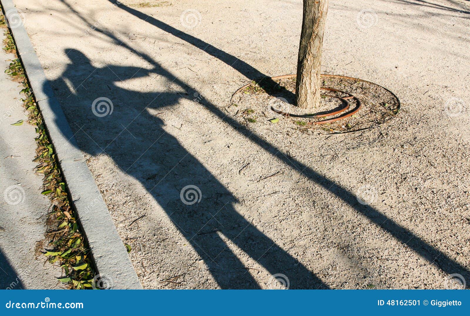 Chinese Shadows stock image. Image of male, shade, beauty - 48162501