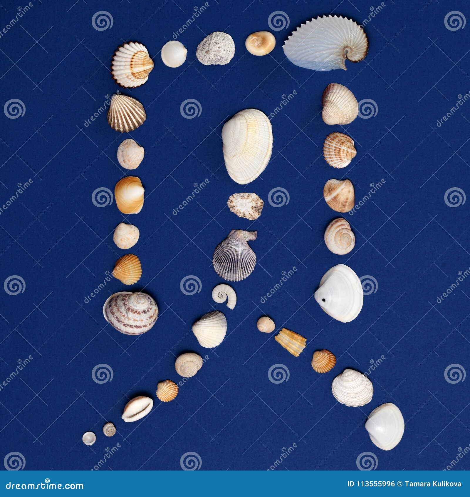 Chinese Character Made of Shells Stock Photo - Image of beaches, object ...