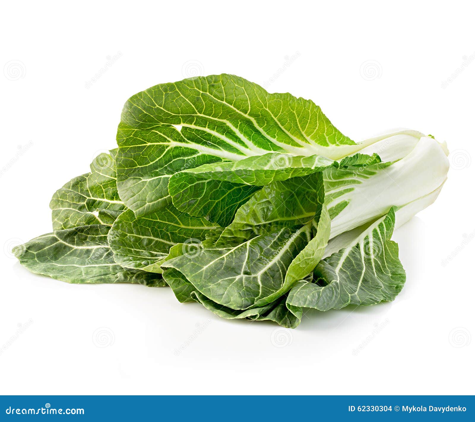 Chinese Sla in Geïsoleerd Op Een Witte Achtergrond Stock Foto - Image ...