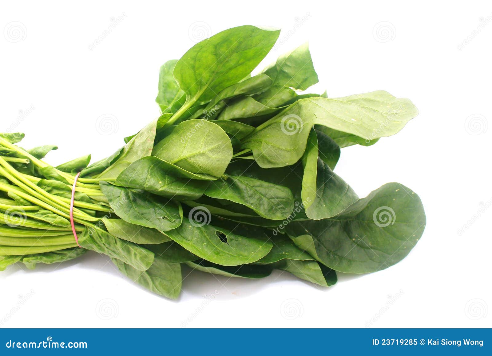 Chinese Spinach (Ipomoea Aquatica) Royalty-Free Stock Photo ...