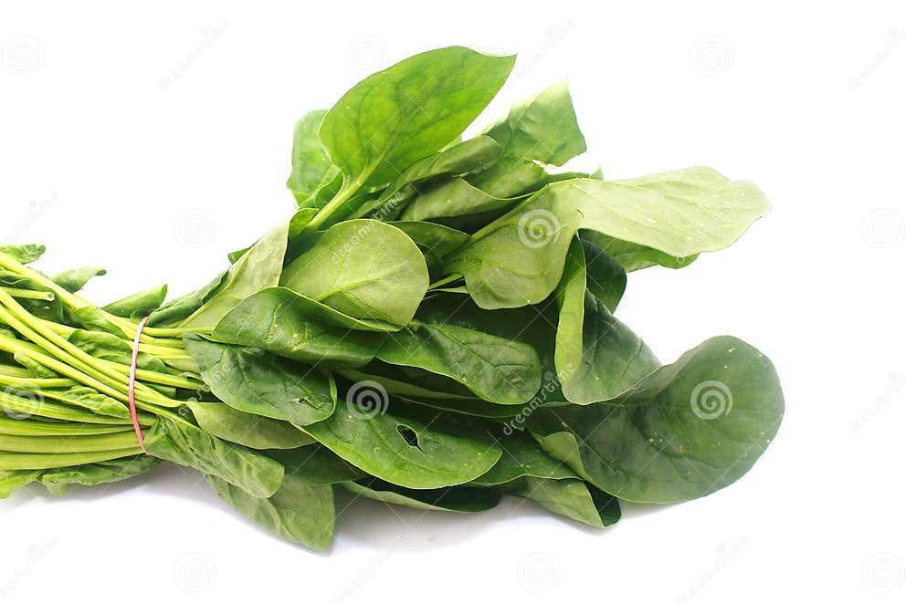 Chinese Spinach stock image. Image of market, greens - 23719285