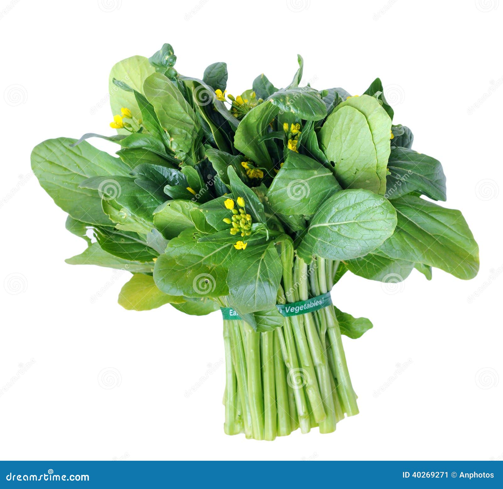 Chinese Spinach (Ipomoea Aquatica) Royalty-Free Stock Photo ...