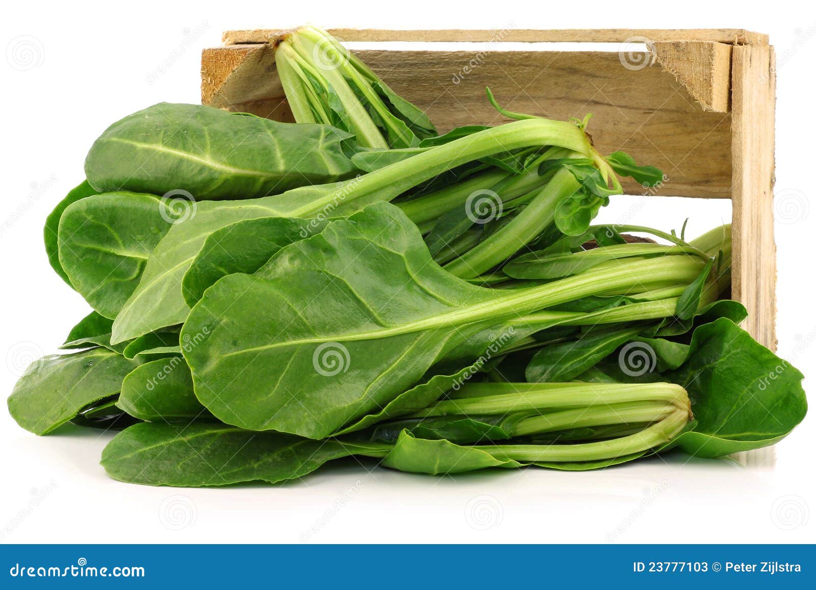 Chinese Spinach (Ipomoea Aquatica) Royalty-Free Stock Photo ...