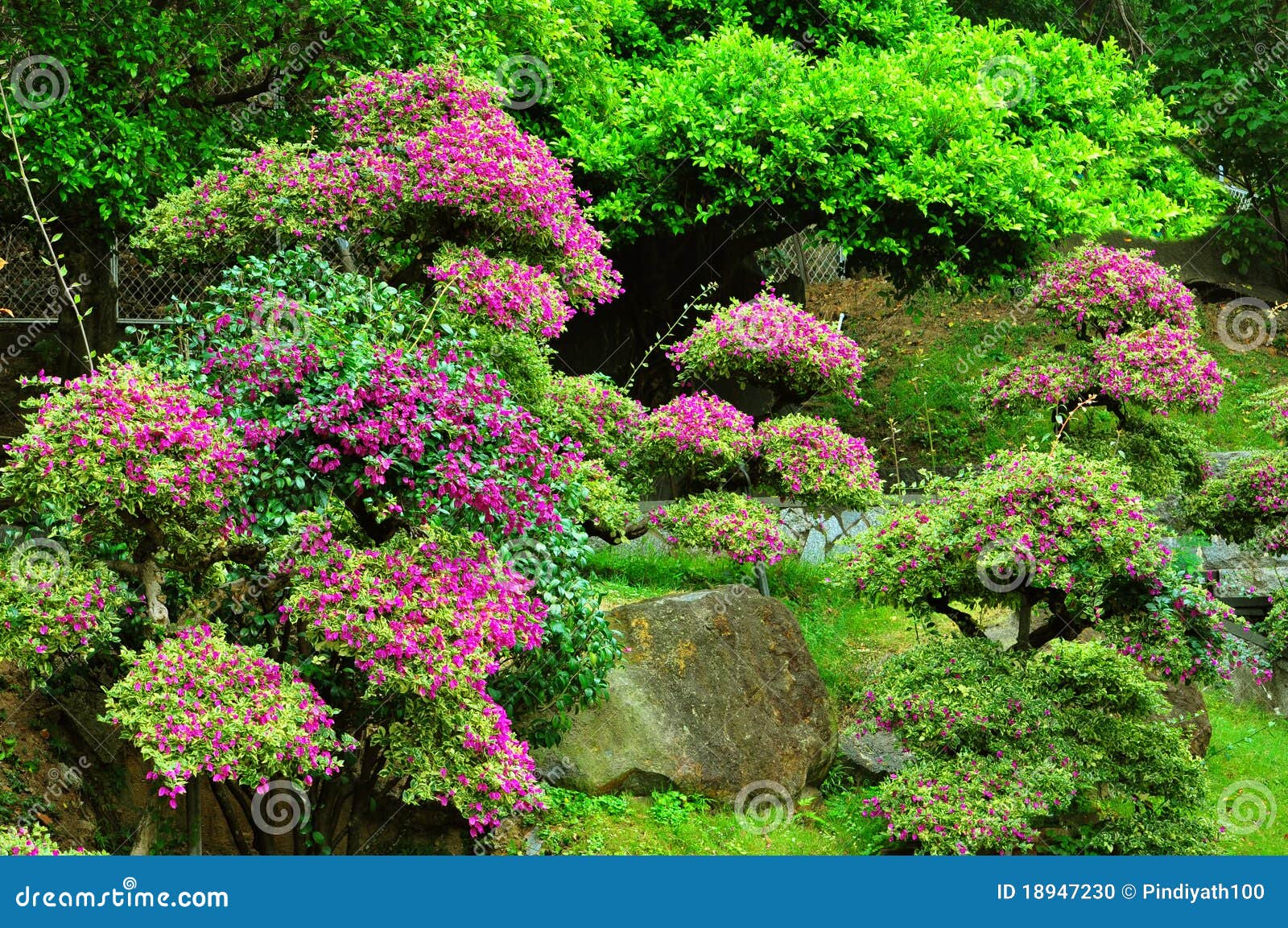 Chinese spring garden stock photo. Image of tranquil - 18947230