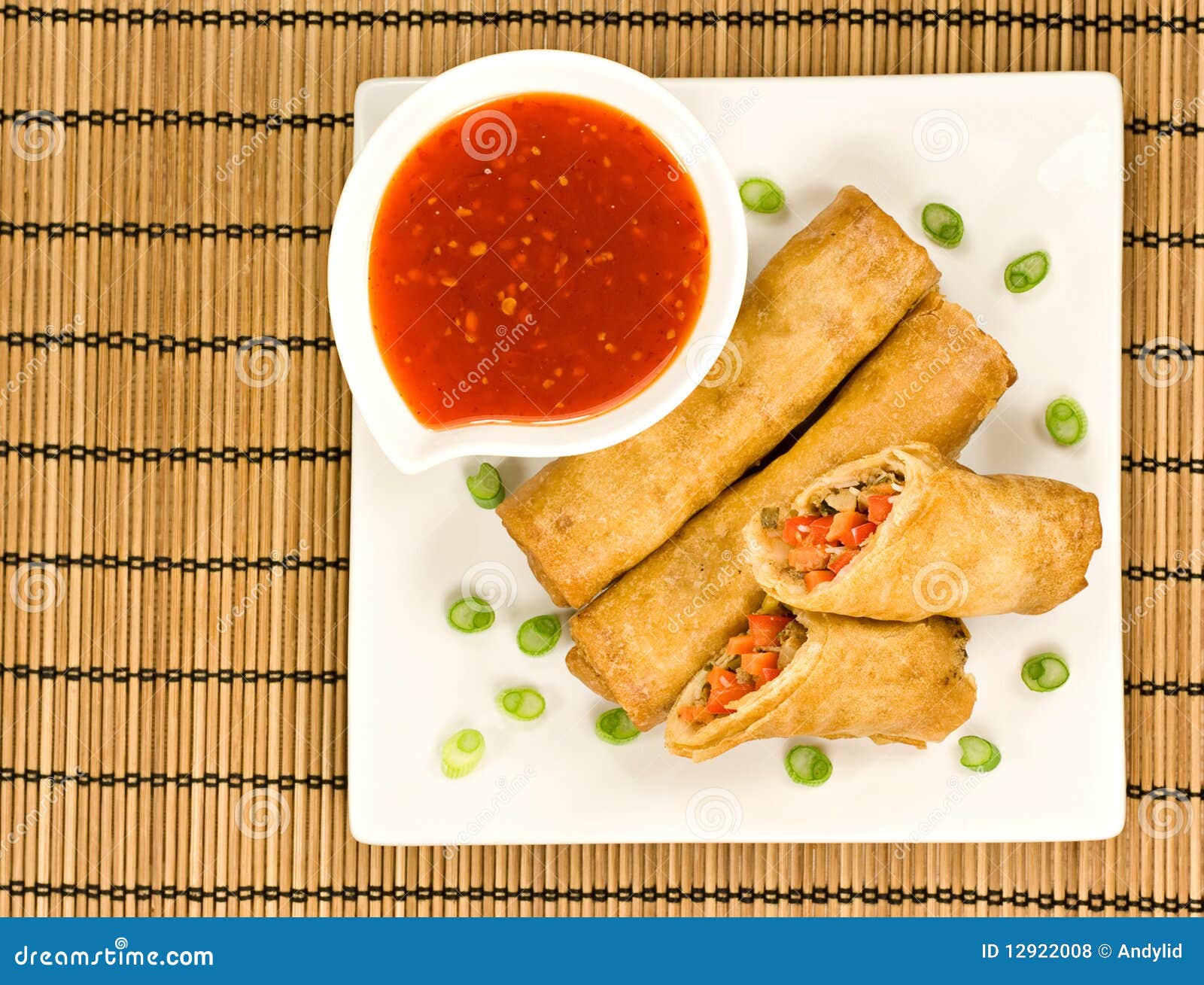 Chinese Spring Rolls stock photo. Image of plate, meal - 12922008