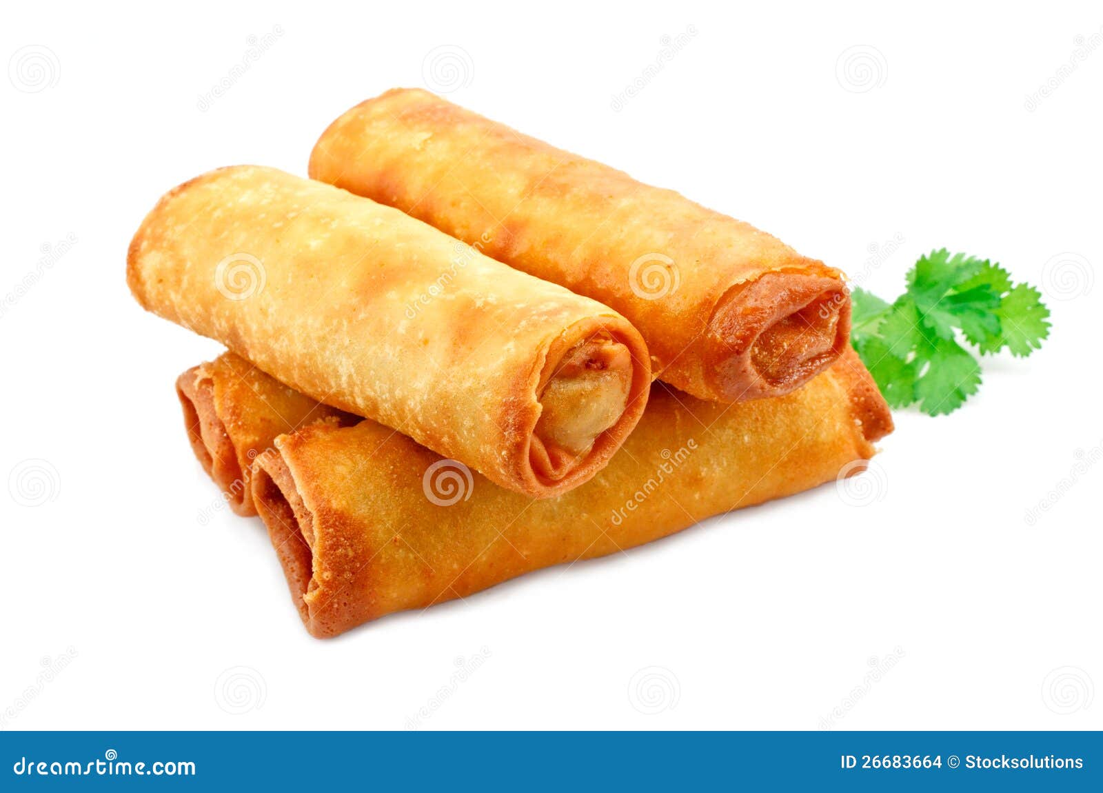 Chinese spring rolls stock photo. Image of savory, meal - 26683664