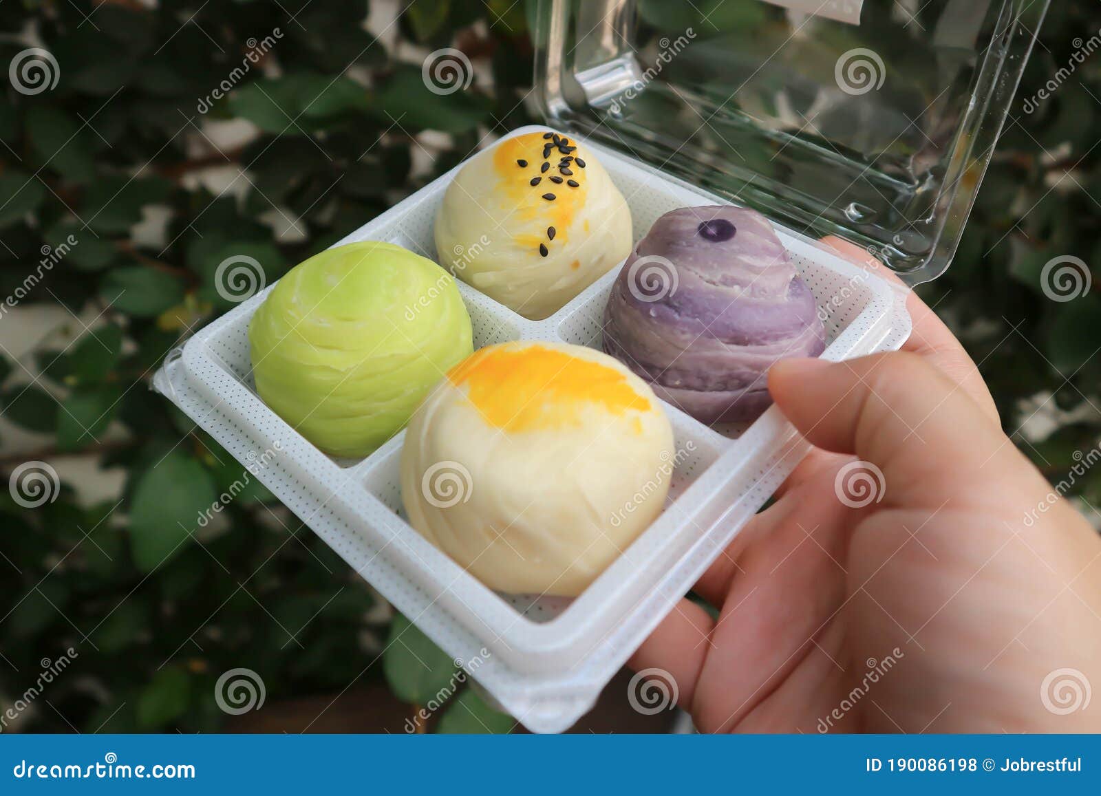 Chinese Spring Rolls, Moon Cake Stock Photo - Image of roll, pack ...