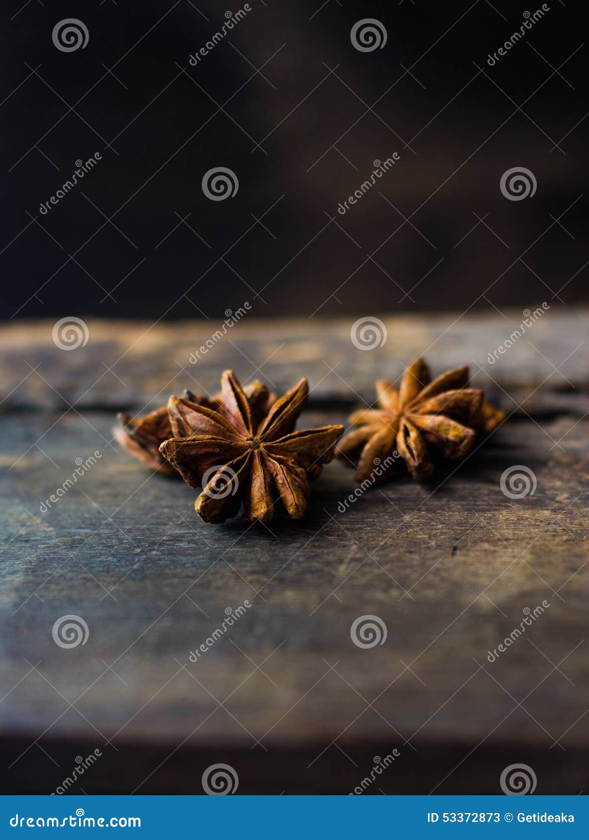 Chinese Star Jasmine Flowers Trachelospermum Jasminoides In Bloom Stock ...
