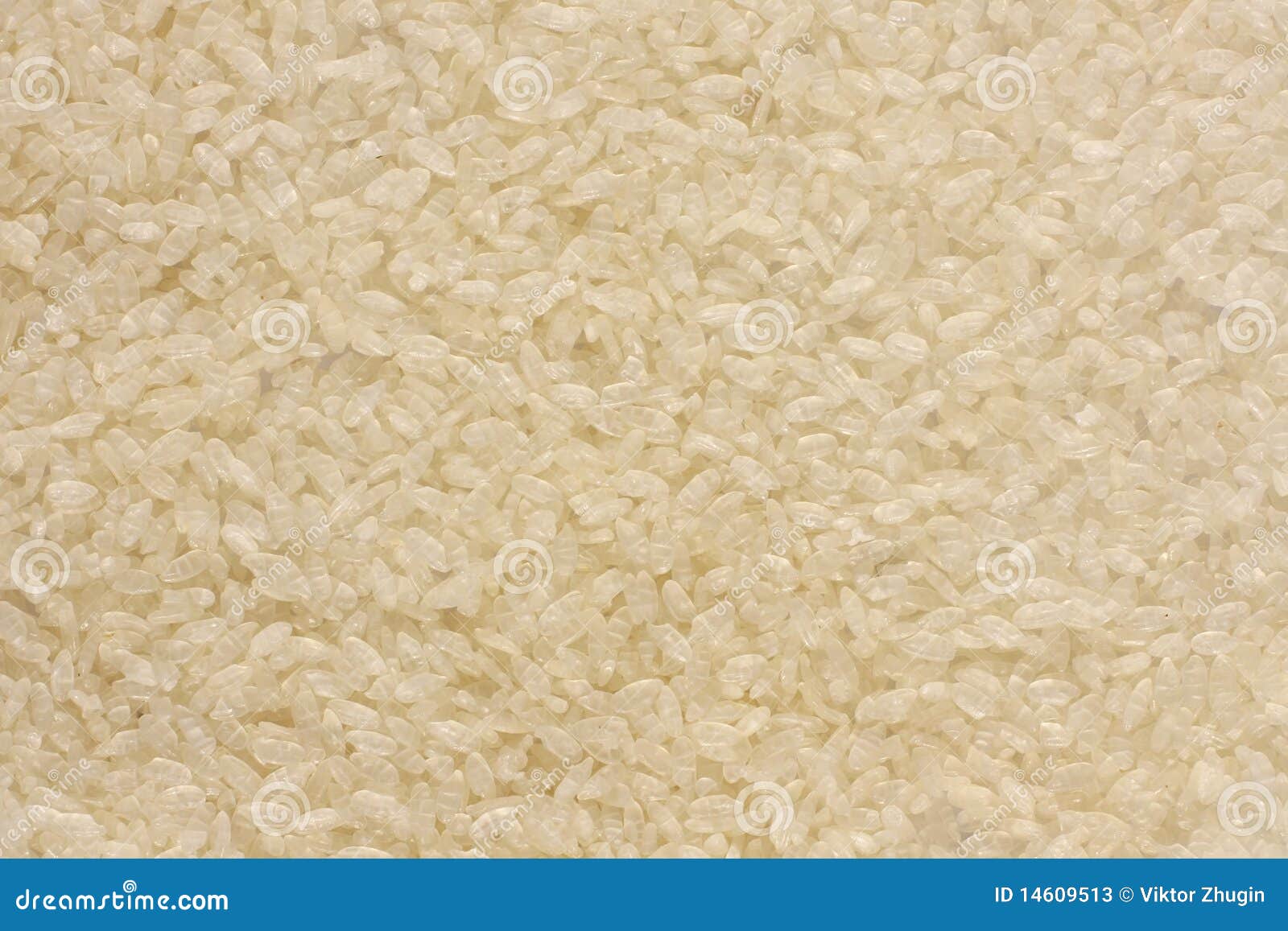 Chinese steamed rice stock image. Image of steamed, natural - 14609513