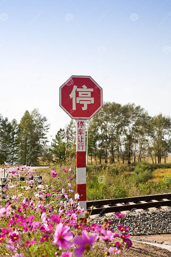 Chinese stop sign stock image. Image of directive, track - 15805169