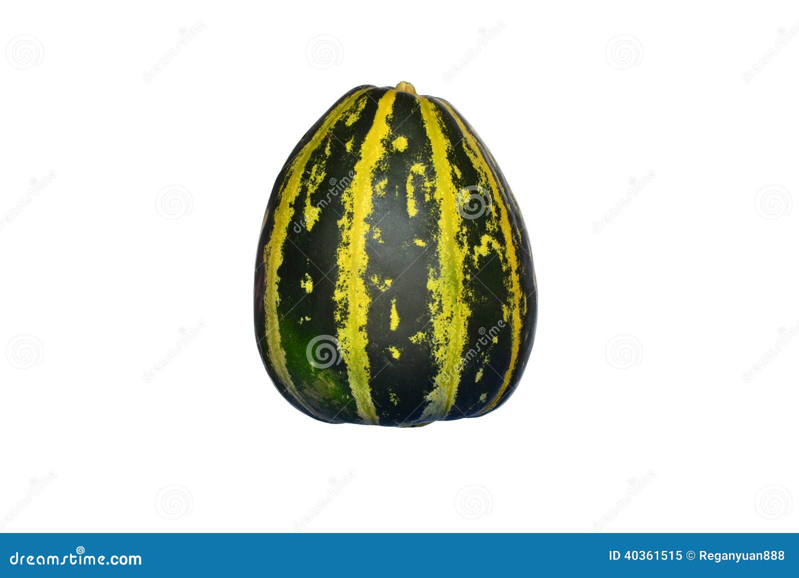Chinese stripe melon stock image. Image of vegetable - 40361515