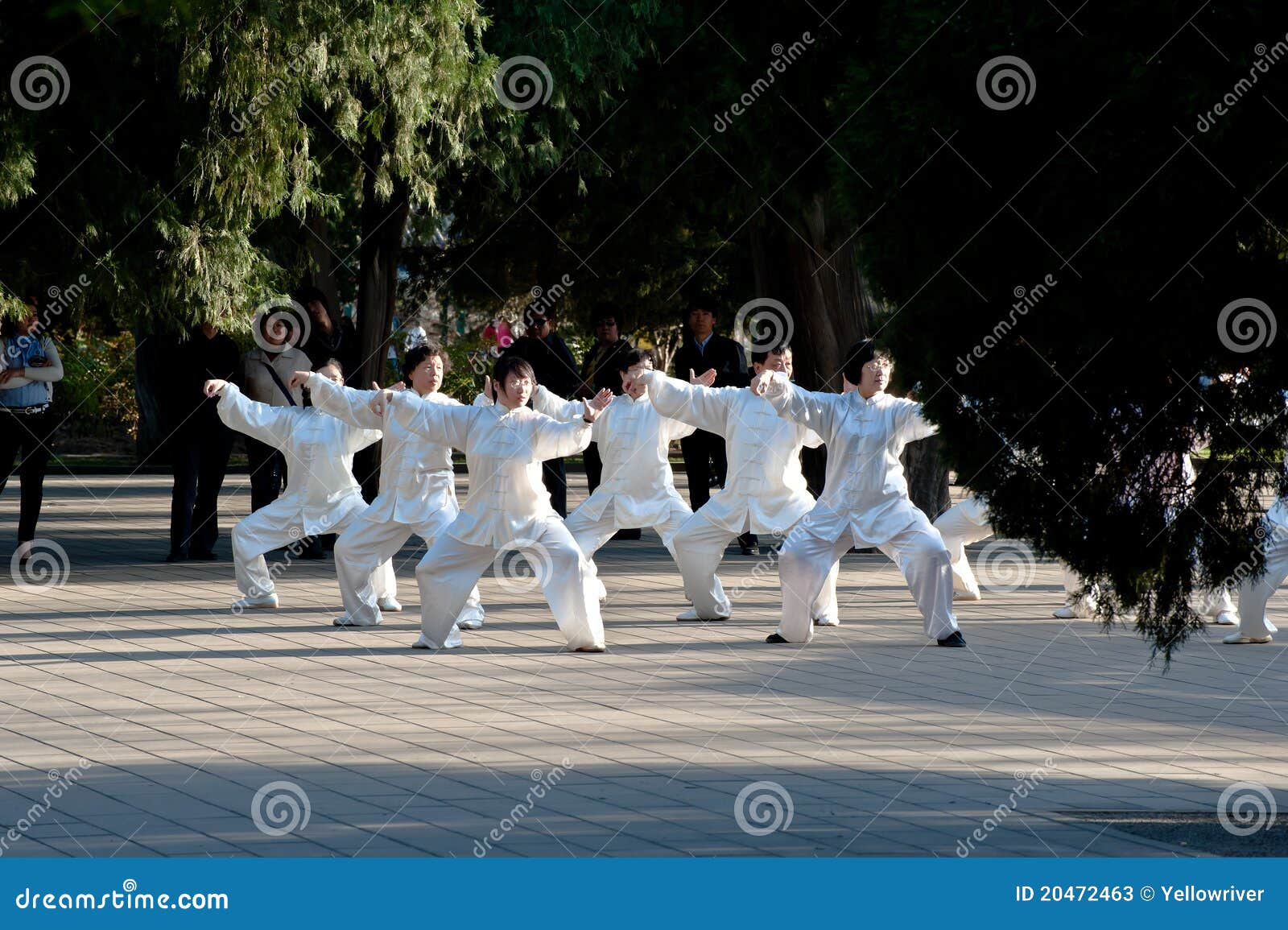 Chinese Taiji players editorial stock photo. Image of taiji - 20472463