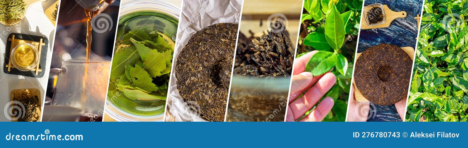 Chinese Tea Ceremony on Dark Background. Pouring Tea Collage ...