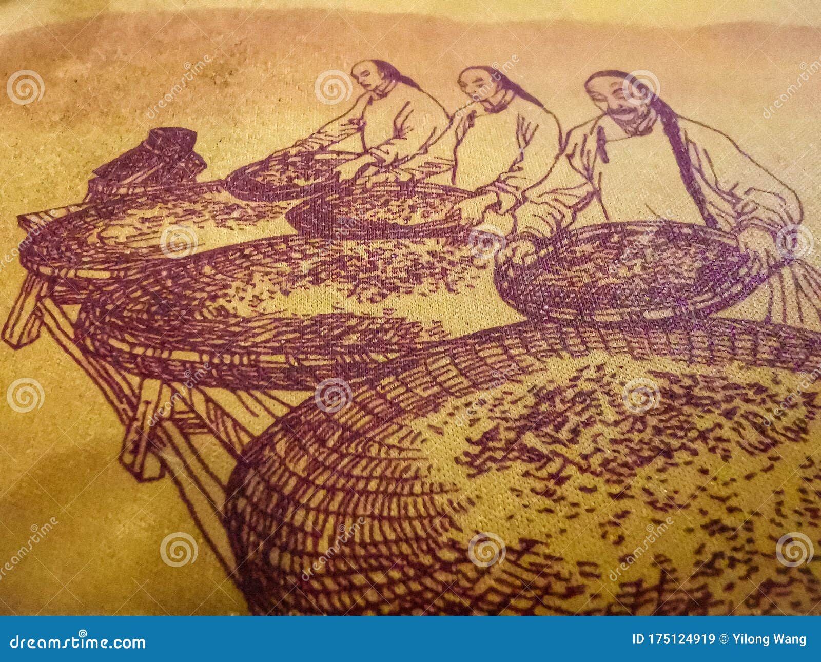 Chinese Tea Producing Process - Tea Picking Stock Image - Image of ...