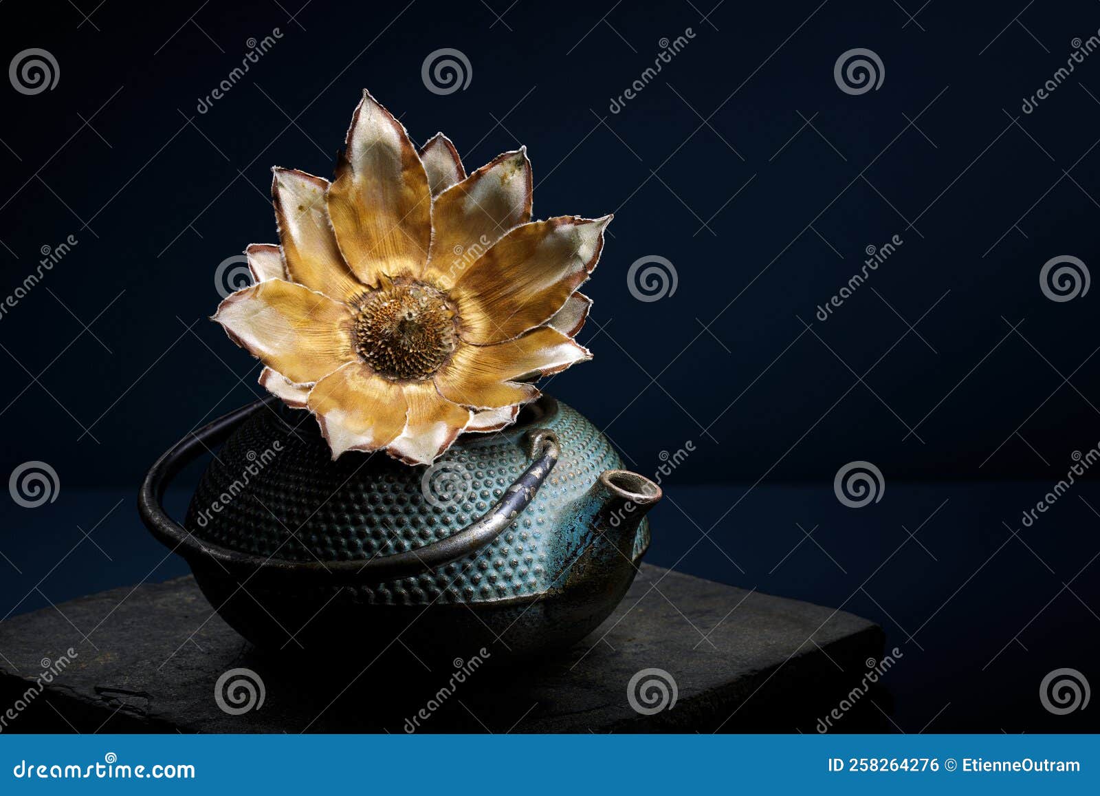 Chinese Teapot with a Dried Protea Shell Stock Photo - Image of shell ...