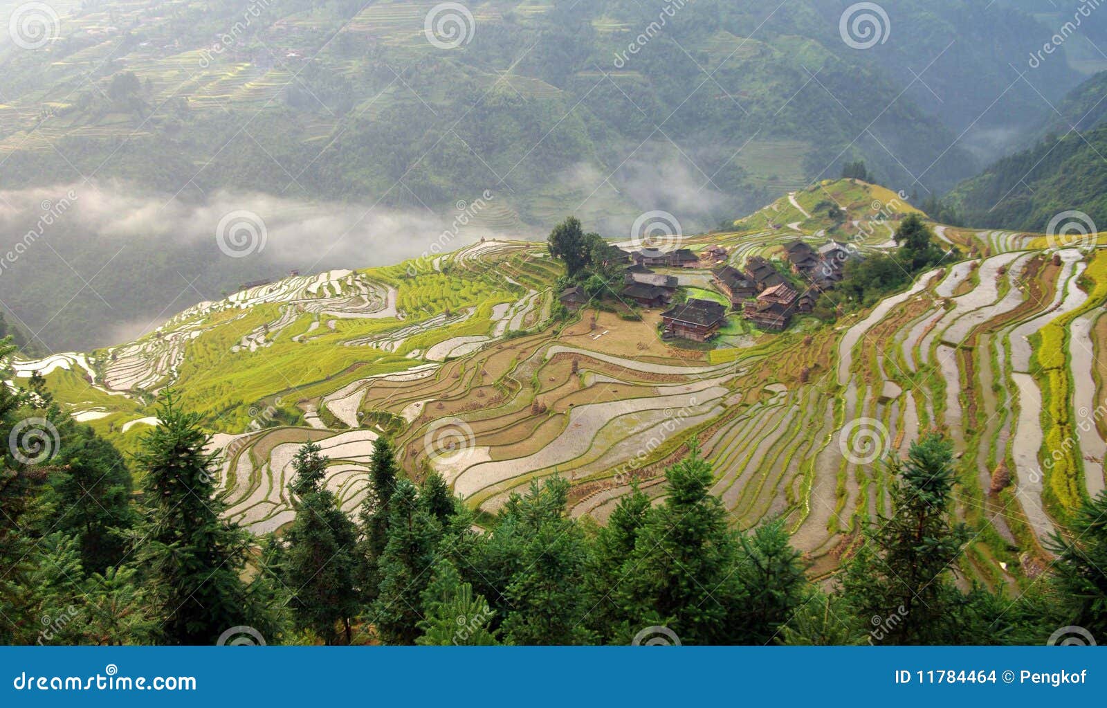 Chinese terrace field 4 stock photo. Image of beautiful - 11784464