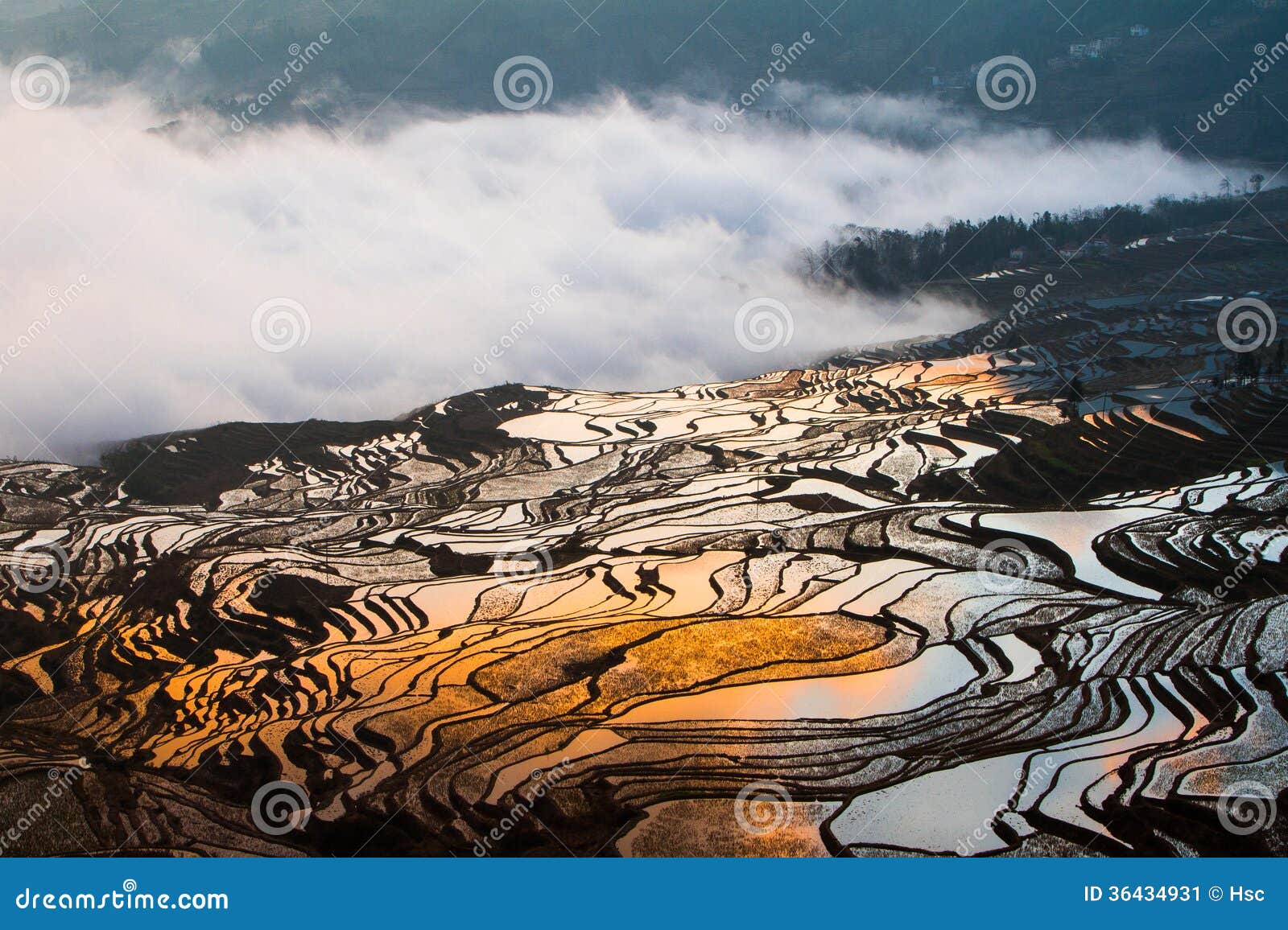 Chinese terraces stock image. Image of asia, cloud, agriculture - 36434931