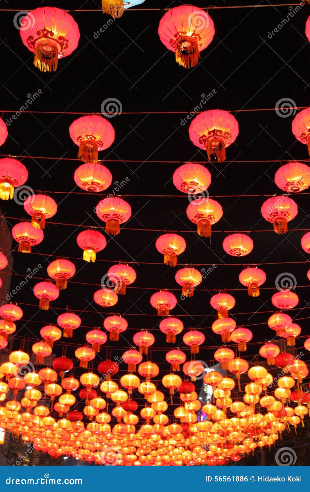Chinese theme stock photo. Image of lamp, chinese, night - 56561886