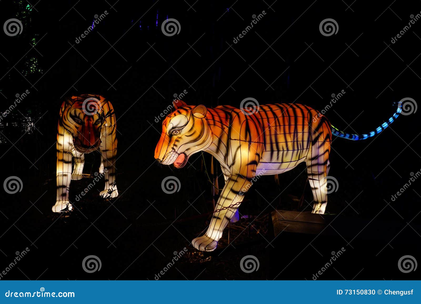 Chinese tiger lantern stock photo. Image of happy, classic - 73150830