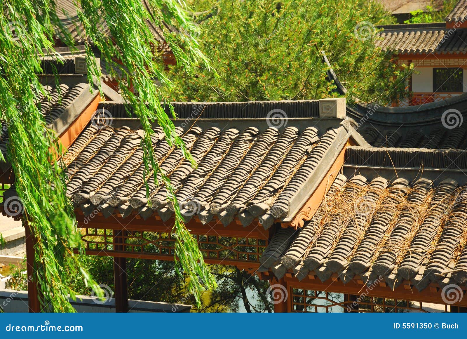 Chinese tile roof stock photo. Image of asian, asia, decoration - 5591350