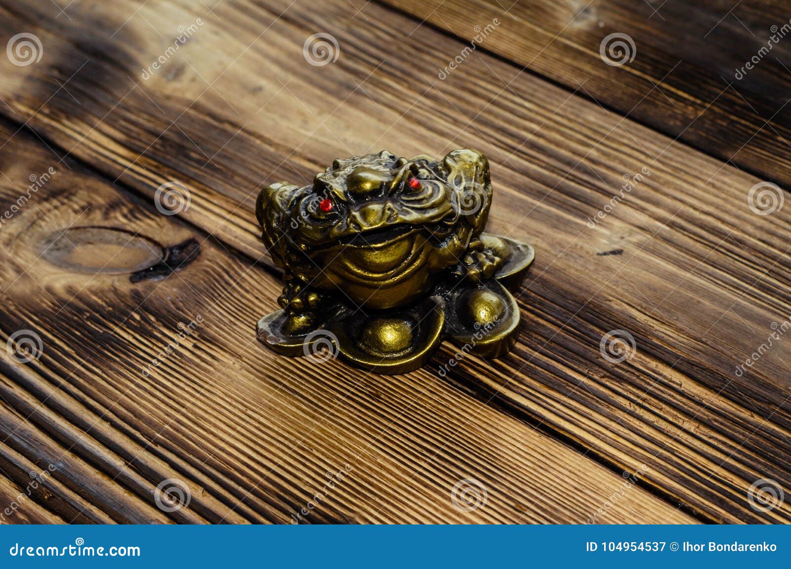 Chinese Toad on Wooden Background Stock Image - Image of luck, legs ...