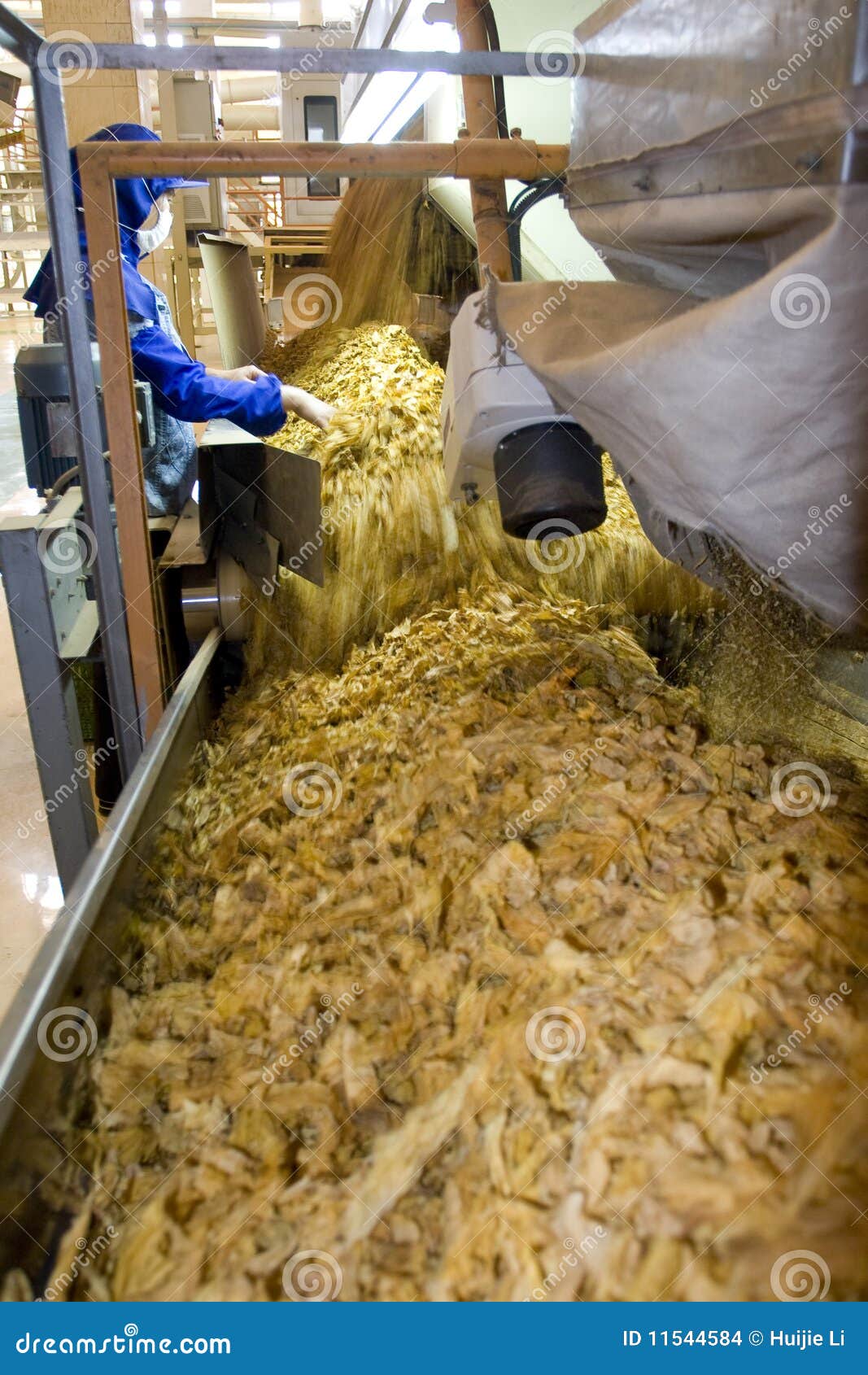 Chinese tobacco stock photo. Image of china, cigar, lung - 11544584