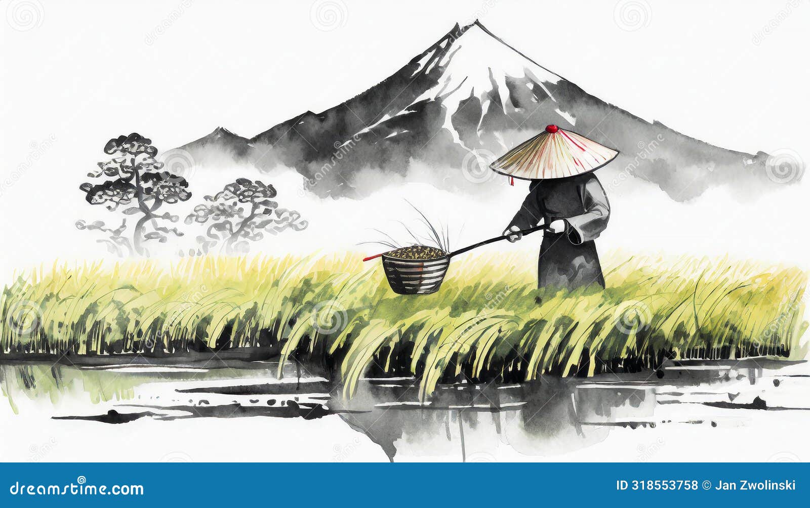 Chinese with Traditional Chinese Hat Collect Rice on Field Stock ...