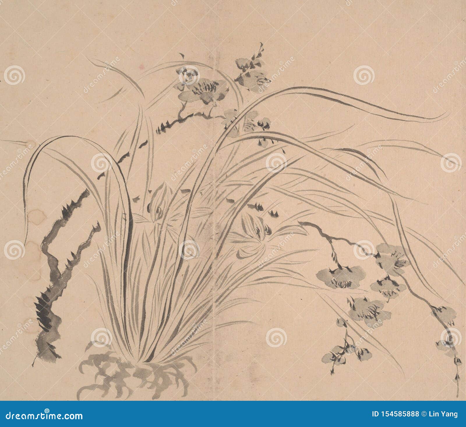 Chinese Traditional Ink Painting Stock Illustration - Illustration of ...