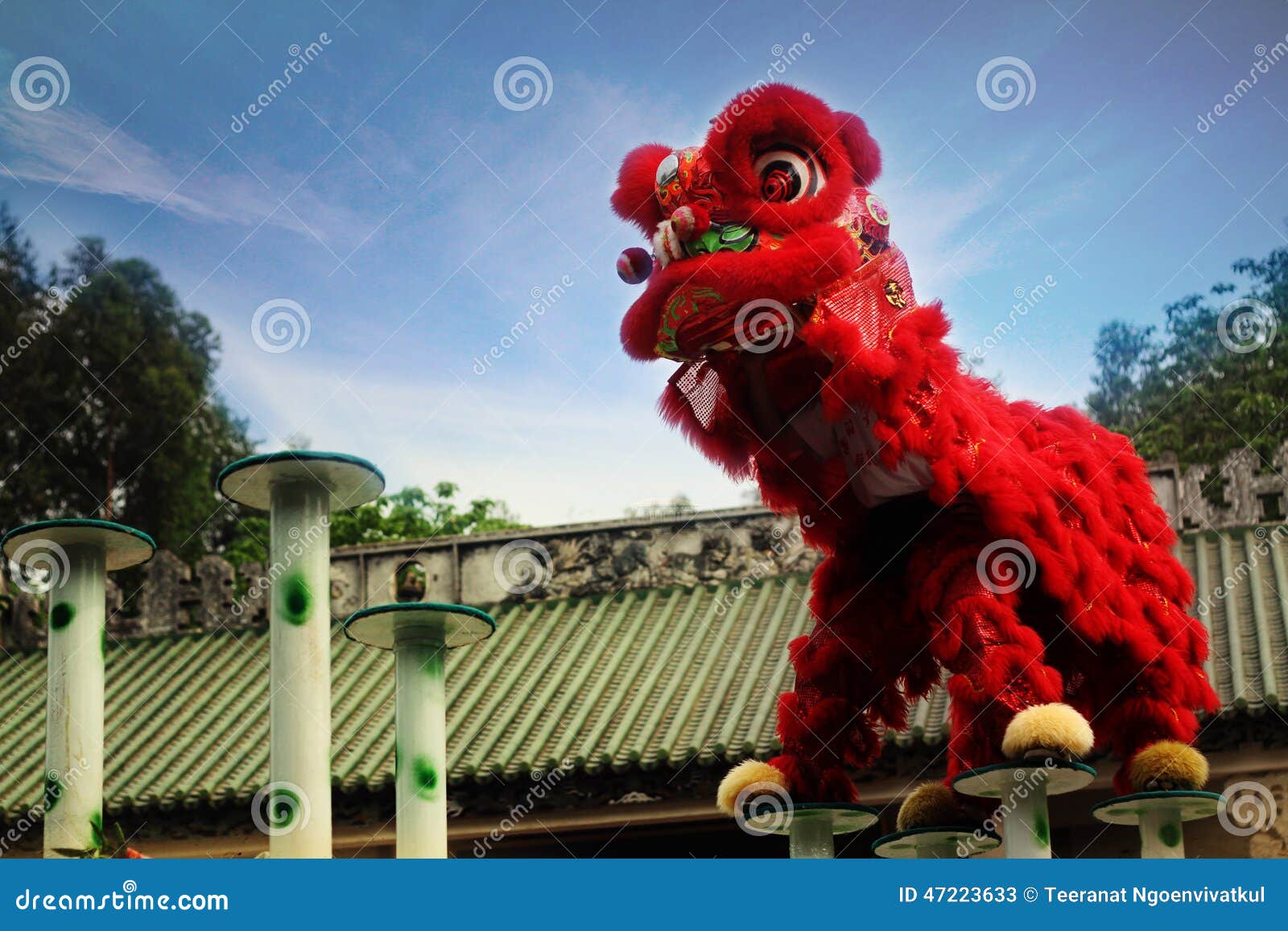 Chinese Traditional Lion Dancing Stock Image - Image of dragon ...