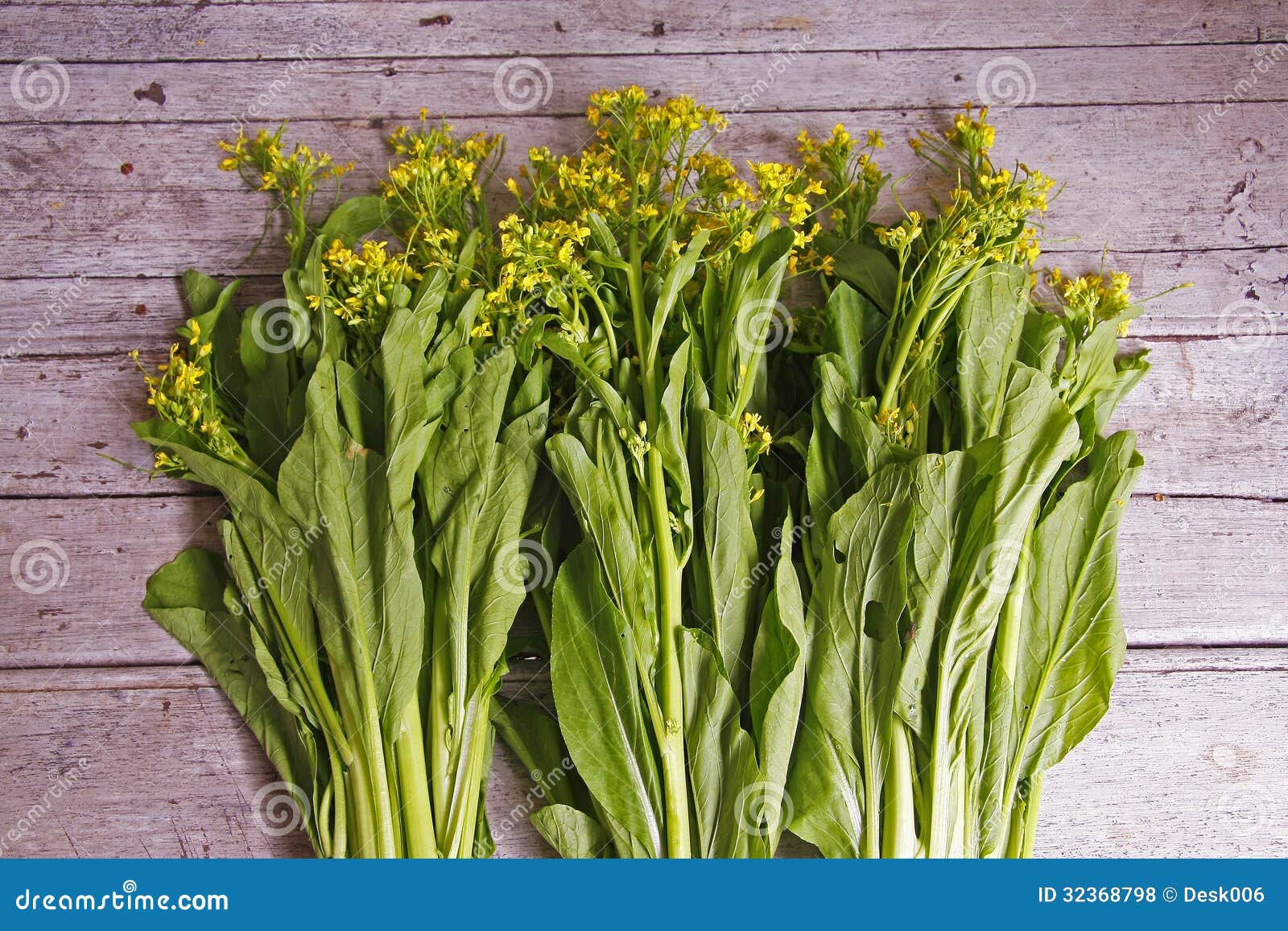 Chinese Vegetable, Choy Sum Stock Photo - Image of ging, food: 32368798
