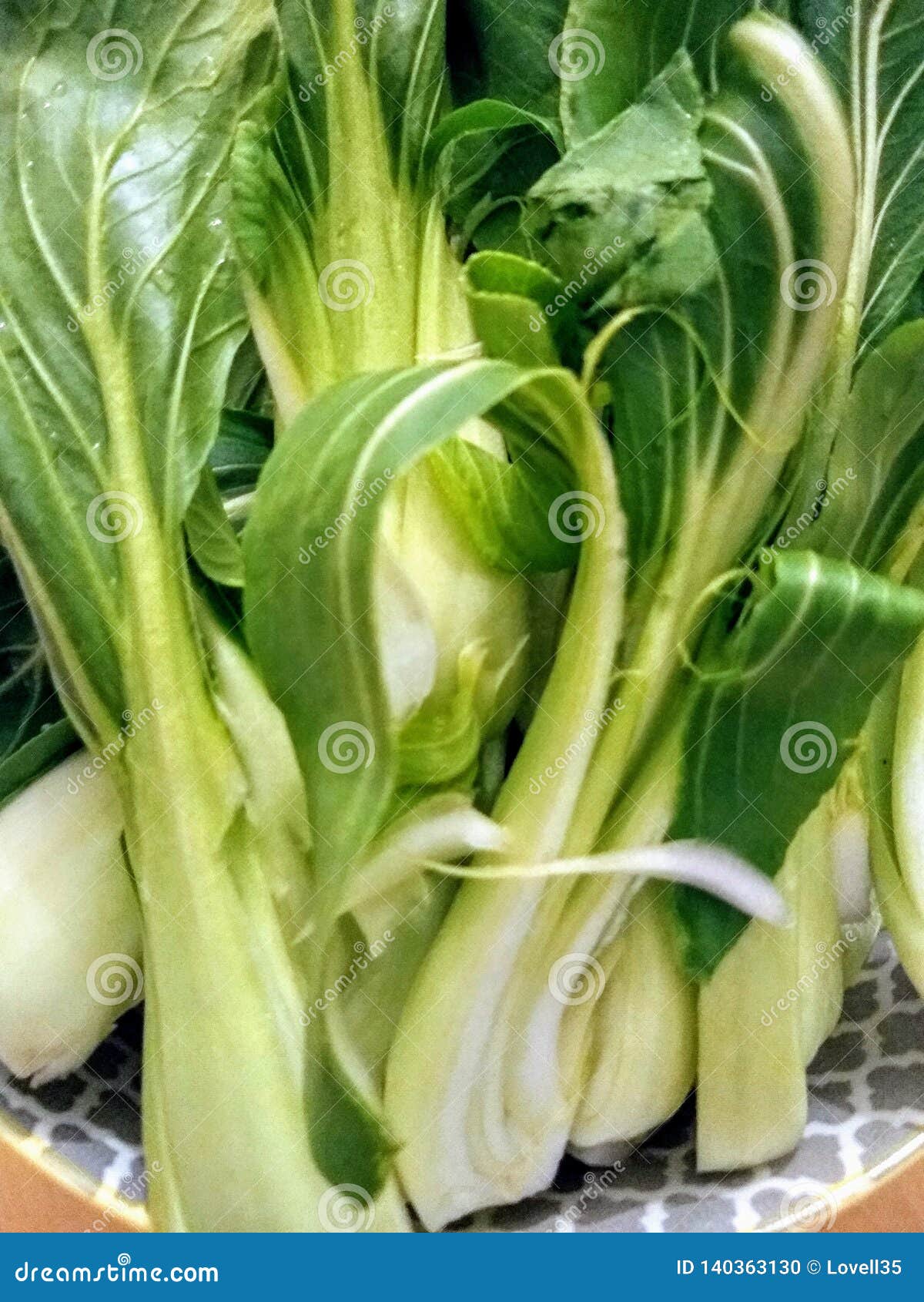 Bak choi stock photo. Image of traditional, leaf, diet - 140363130