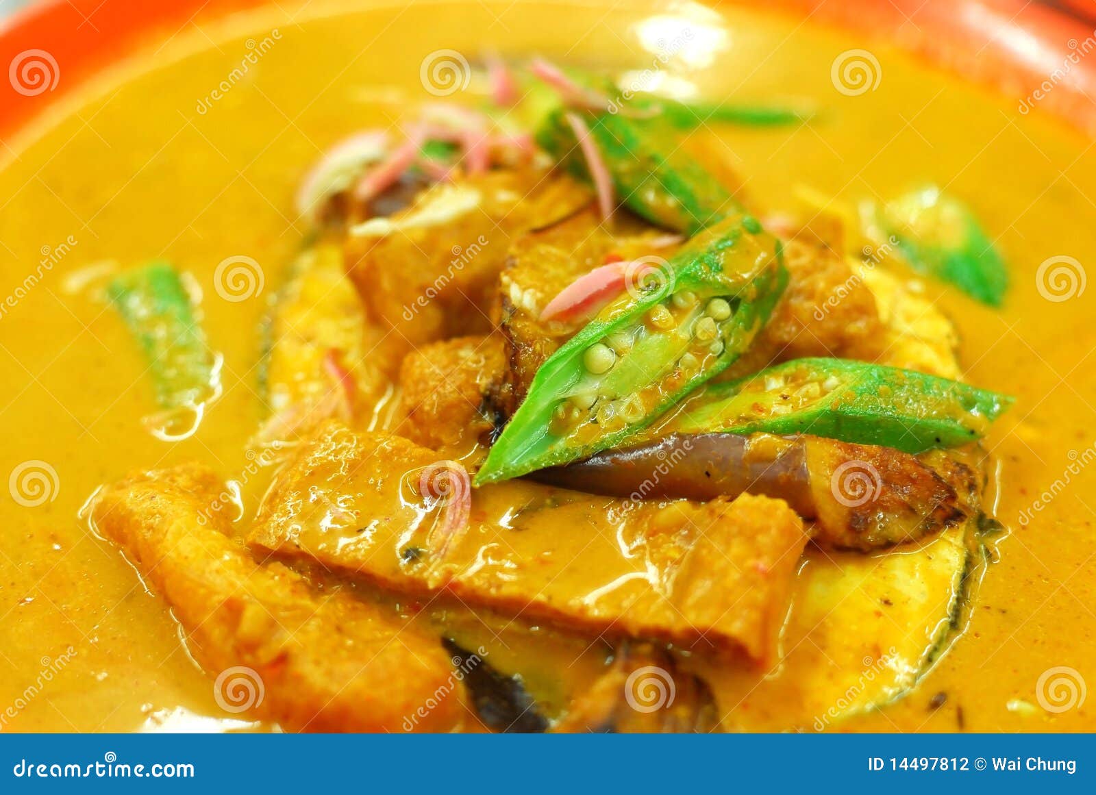 Chinese vegetarian curry stock photo. Image of lifestyle - 14497812