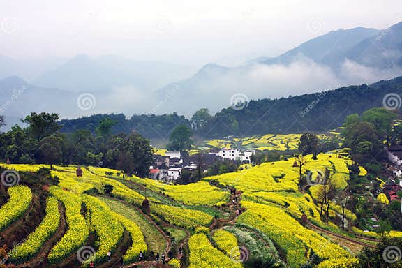 Chinese village stock photo. Image of engaging, interest - 6206300