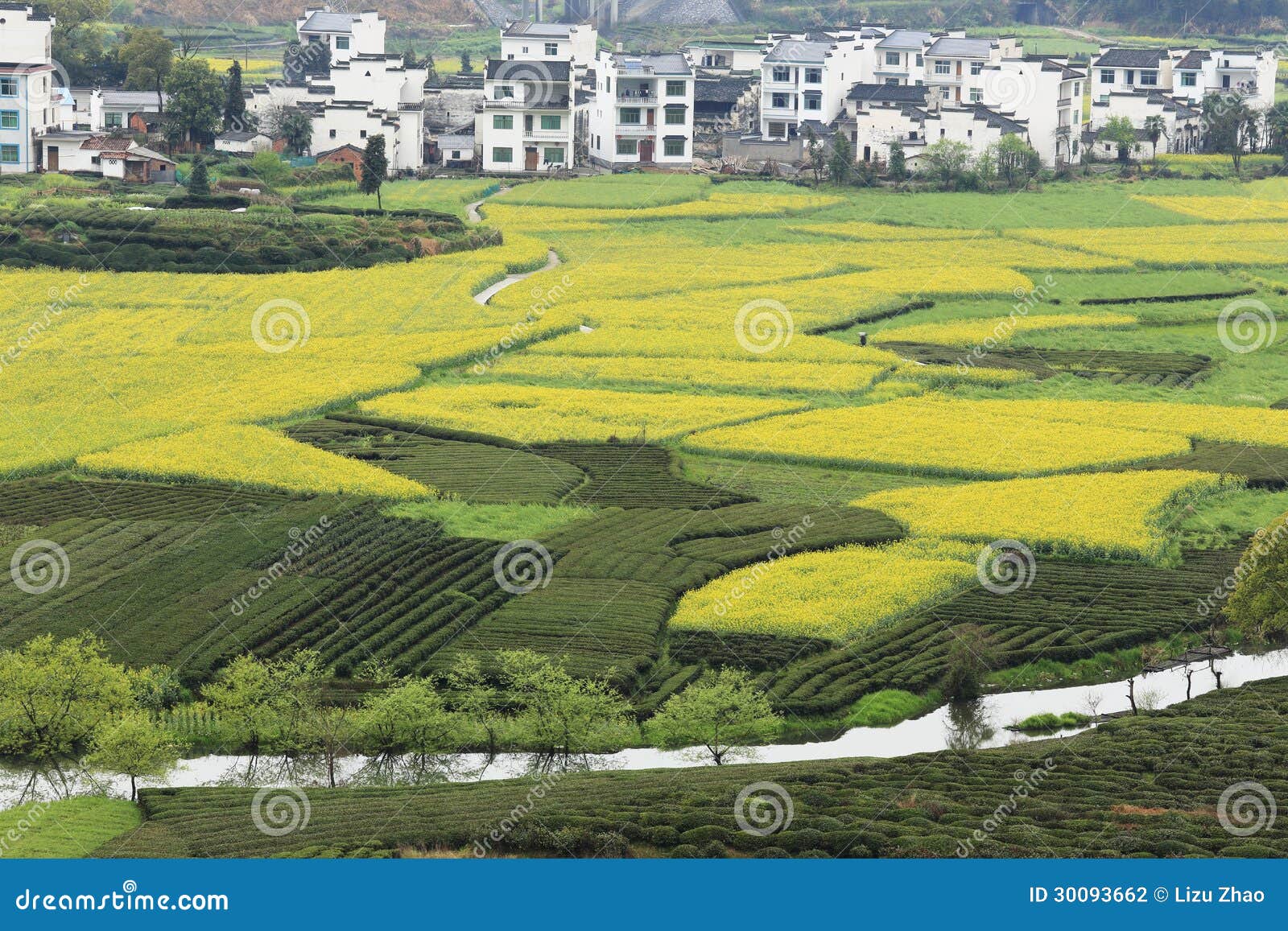 Chinese village in spring stock photo. Image of golden - 30093662