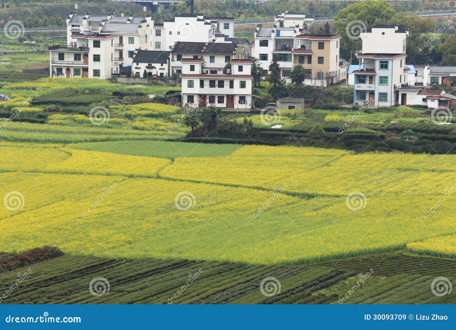 Chinese village in spring stock image. Image of meadow - 30093709