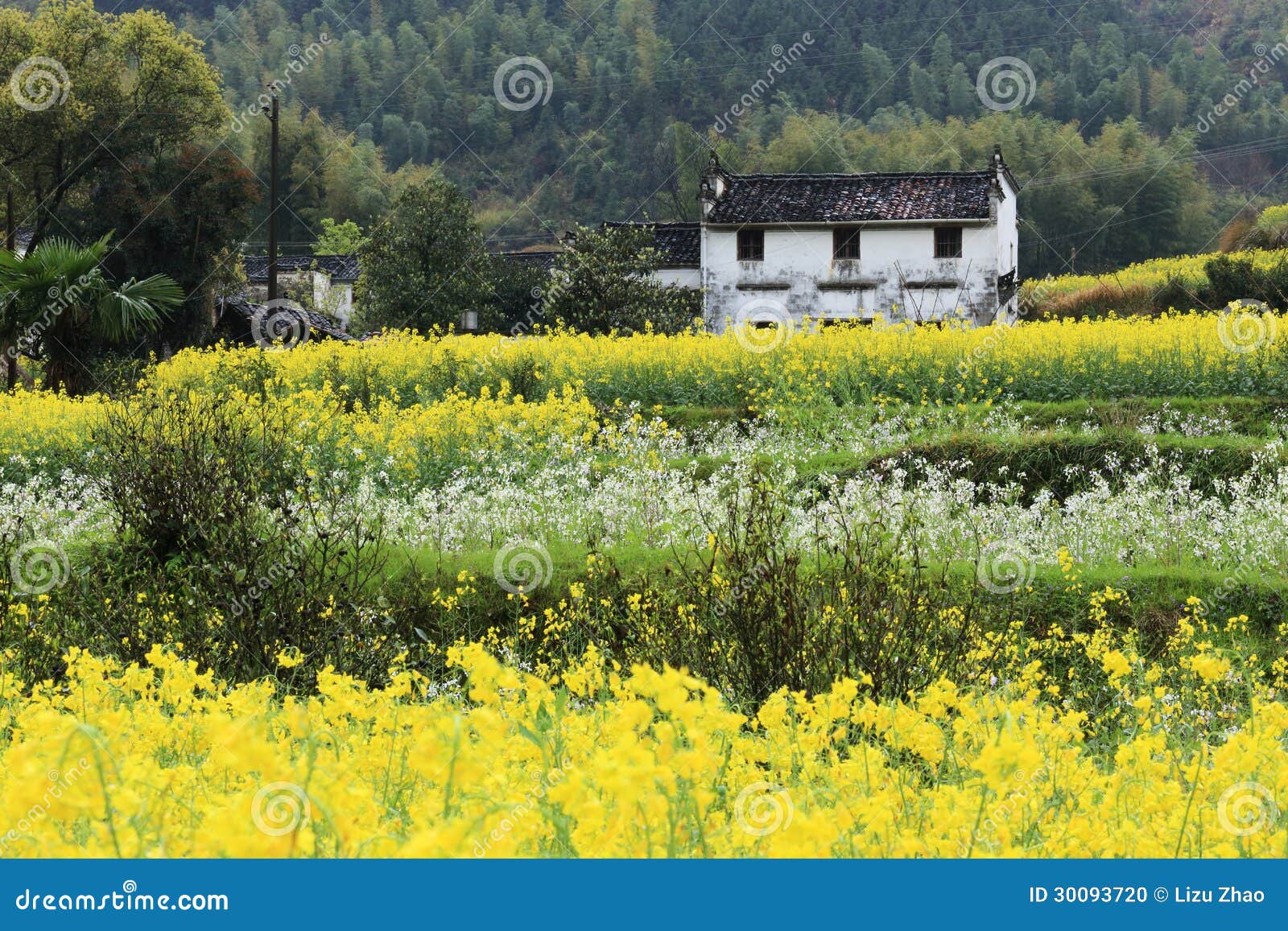 Chinese village in spring stock photo. Image of agriculture - 30093720