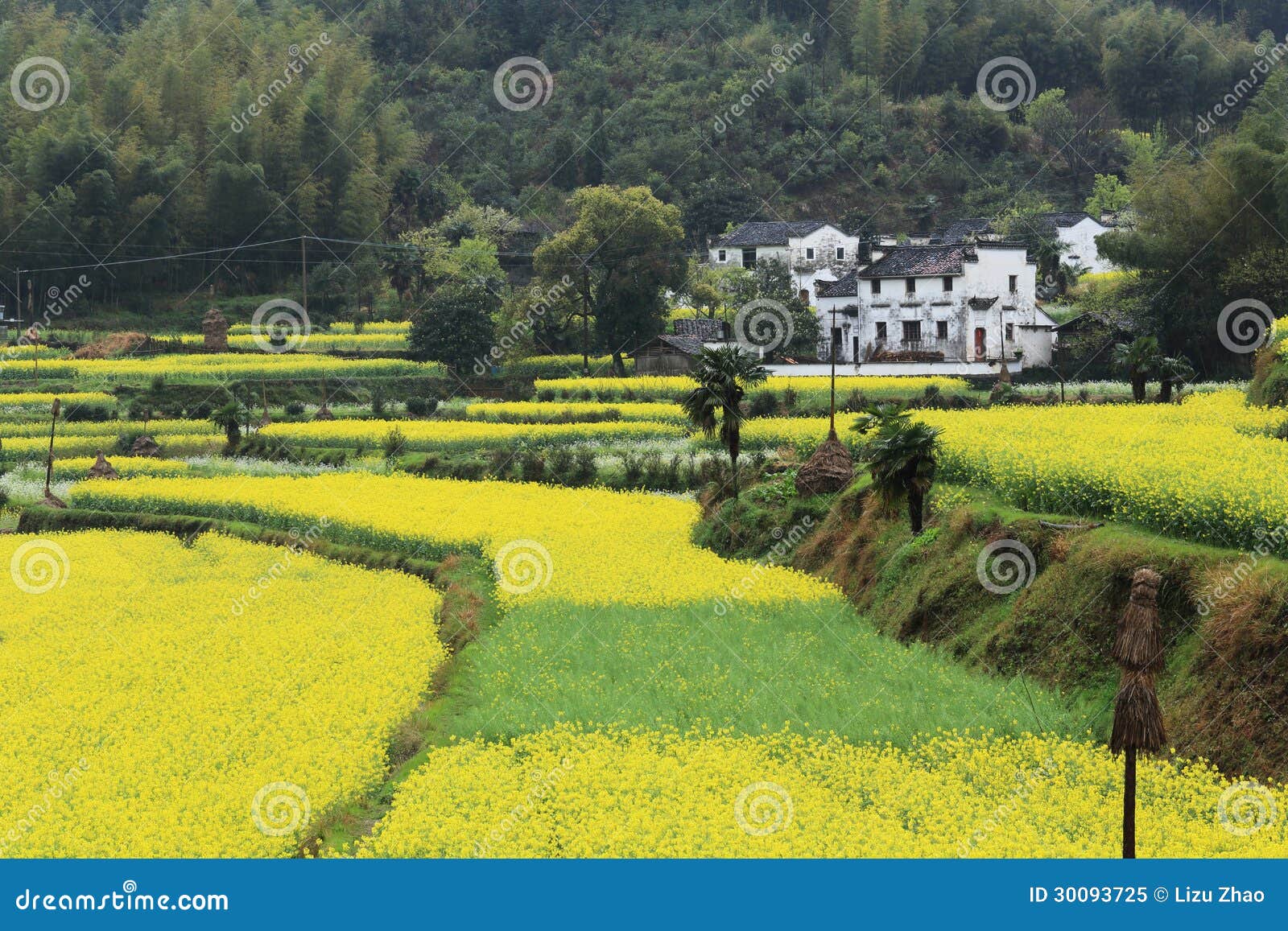 Chinese village in spring stock image. Image of house - 30093725