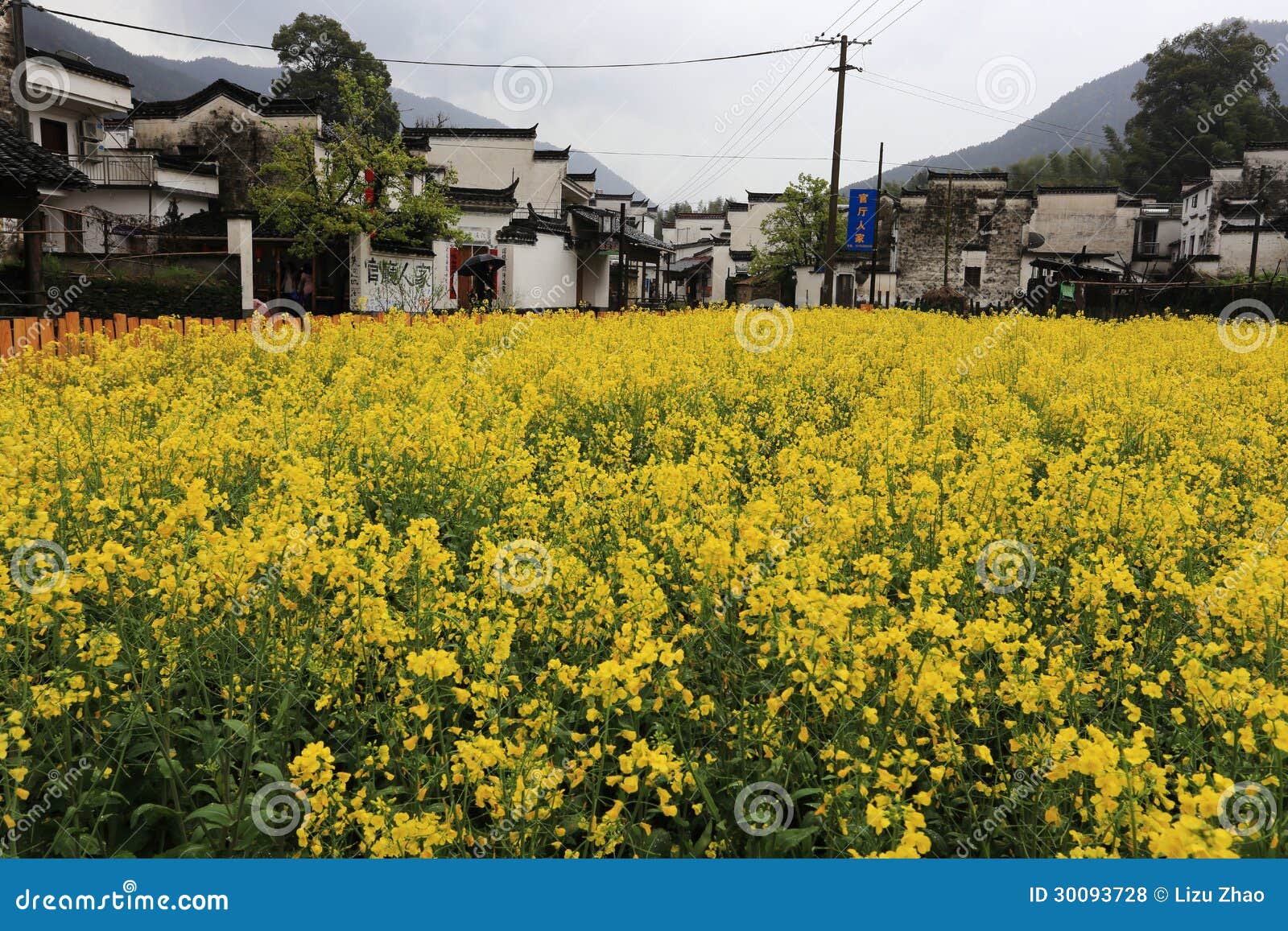 Chinese village in spring stock photo. Image of china - 30093728