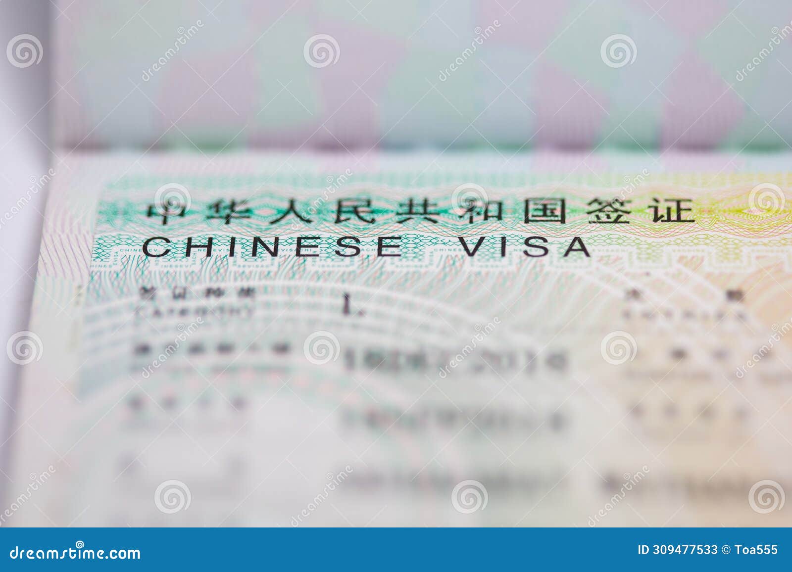 Chinese Visa for Tourist Single Entry. Tourist Visa Editorial Stock ...