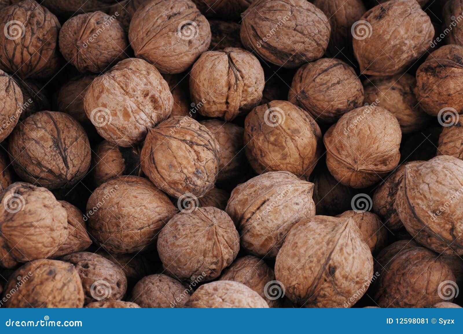 Chinese Walnut stock image. Image of chengdu, dried, close - 12598081