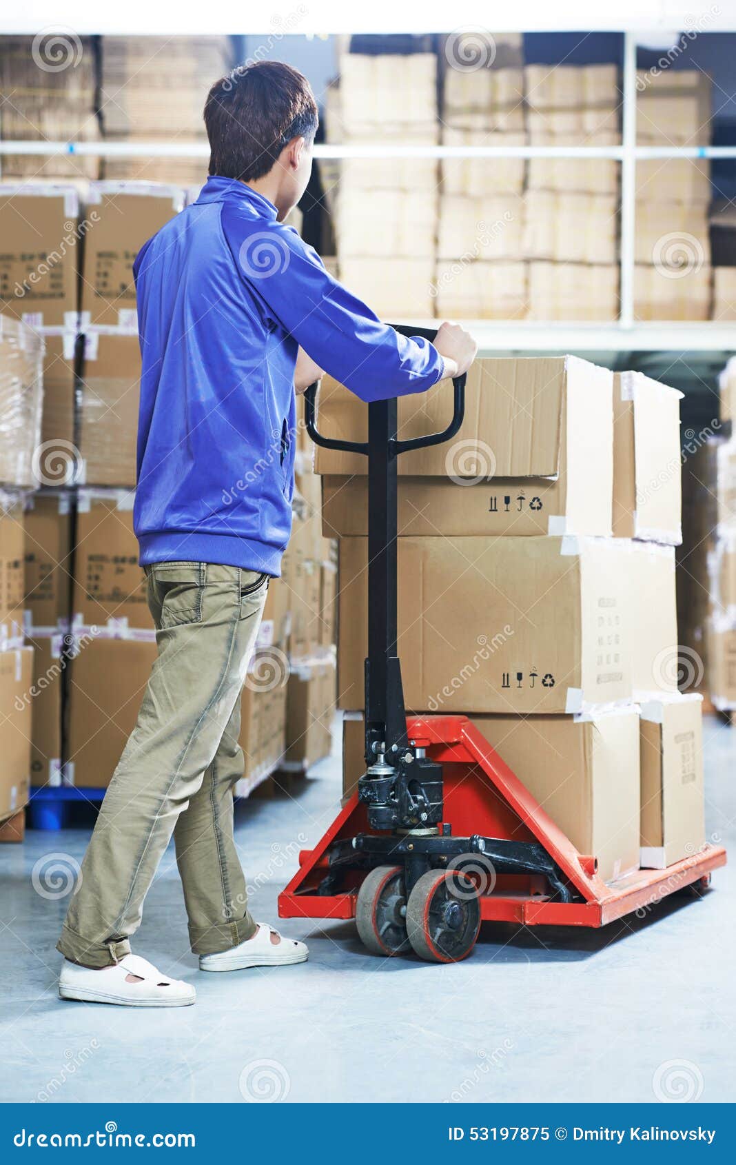 Chinese Warehouse Worker With Forklift Stacker Royalty-Free Stock ...