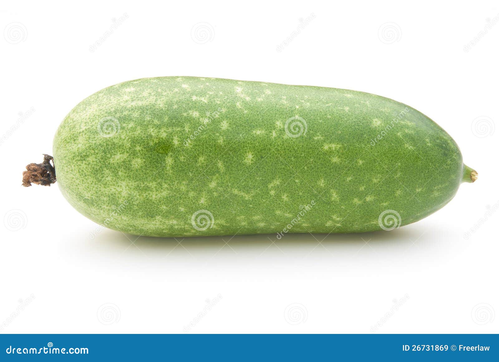 Chinese watermelon stock image. Image of juicy, ingredient - 26731869