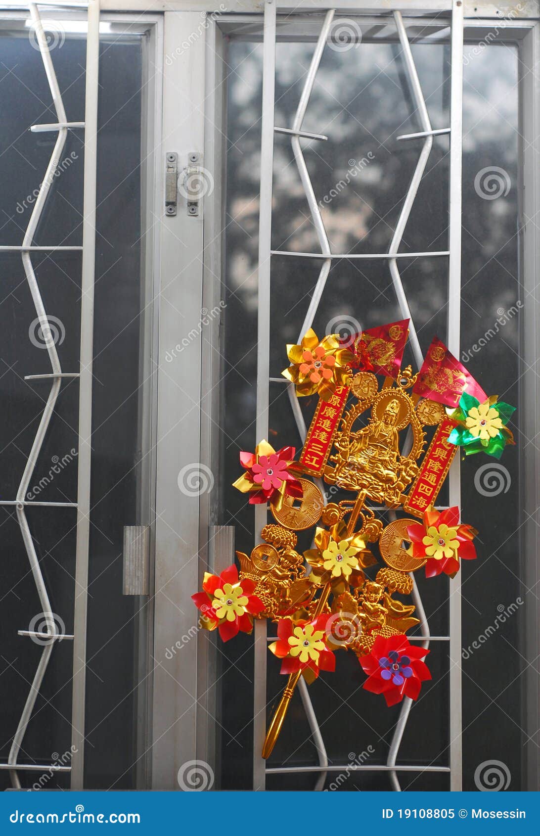 Chinese Windmill Palm Trachycarpus Fortunei Or Chusan Palm With Rows ...