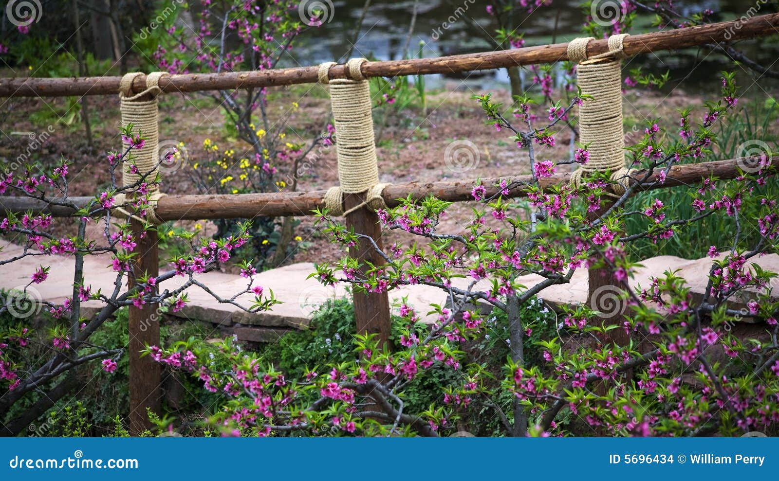 Chinese wooden bridge stock photo. Image of traditional - 5696434
