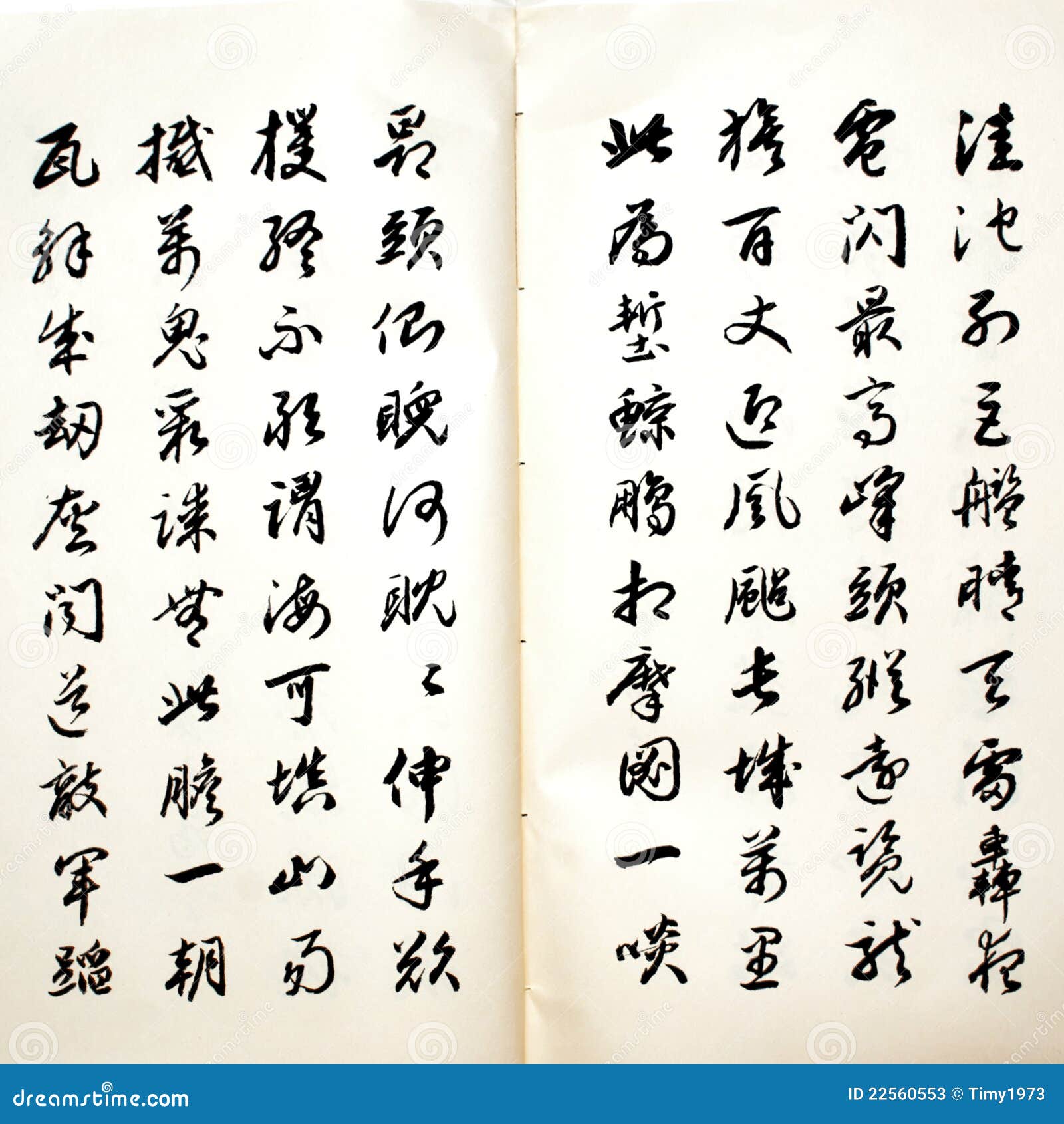 Chinese words stock image. Image of brush, character - 22560553