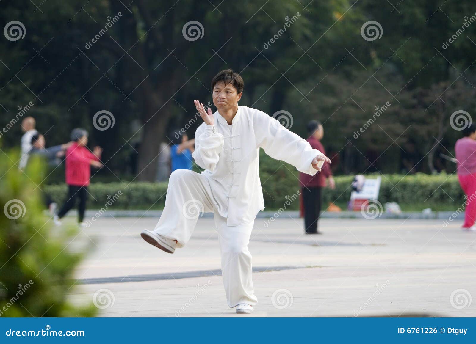 Wushu Chinese Boxing Kung Fu Hung Gar Fighter Isolated Child Royalty ...