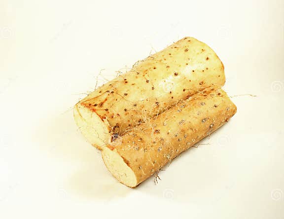 Chinese Yam stock image. Image of farmers, starch, plants - 29329155